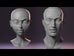 Sculpting The Planes of the Head | In-Depth Tutorial – Follygon